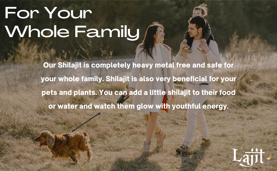 Lajit Himalayan Shilajit – Lajit Gold