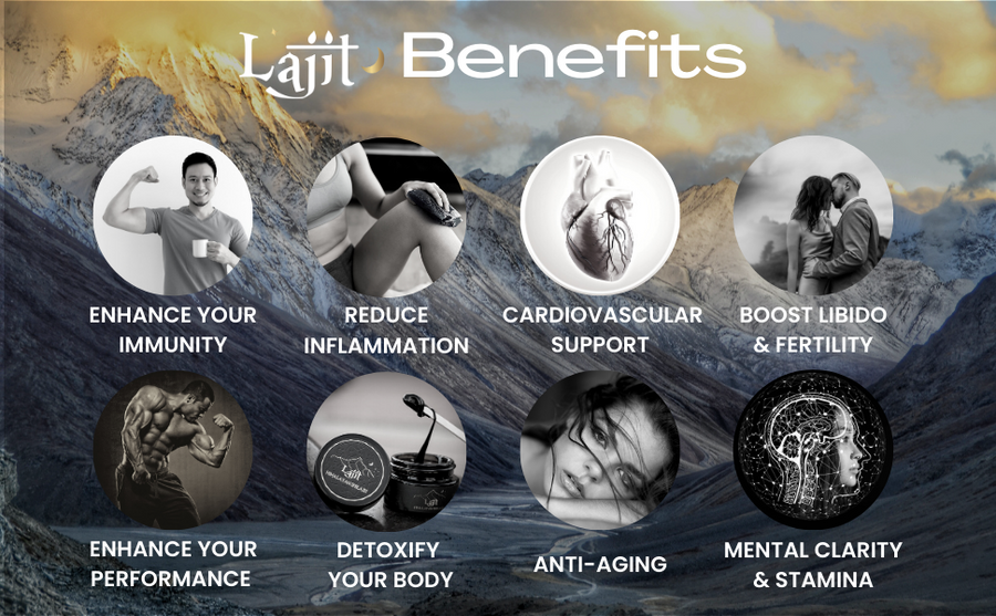 Lajit Himalayan Shilajit – Lajit Gold